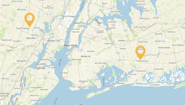 Quality Family Horses For Sale - Lucky D Ranch