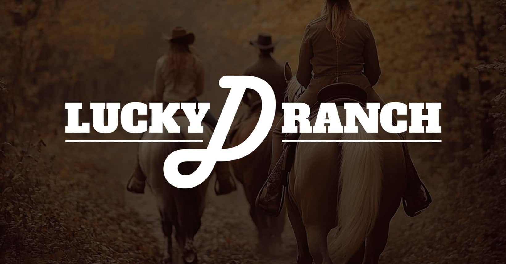 Quality Family Horses For Sale - Lucky D Ranch